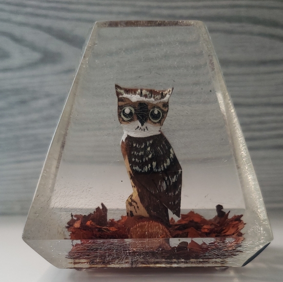 Source Unknown | Accents | Vintage Hand Carved Petrified Wood Lucite ...